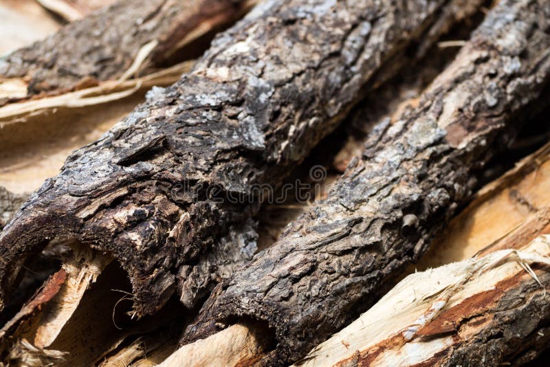Old bark stock image. Image of hammer, dirty, bark, interior - 97493845