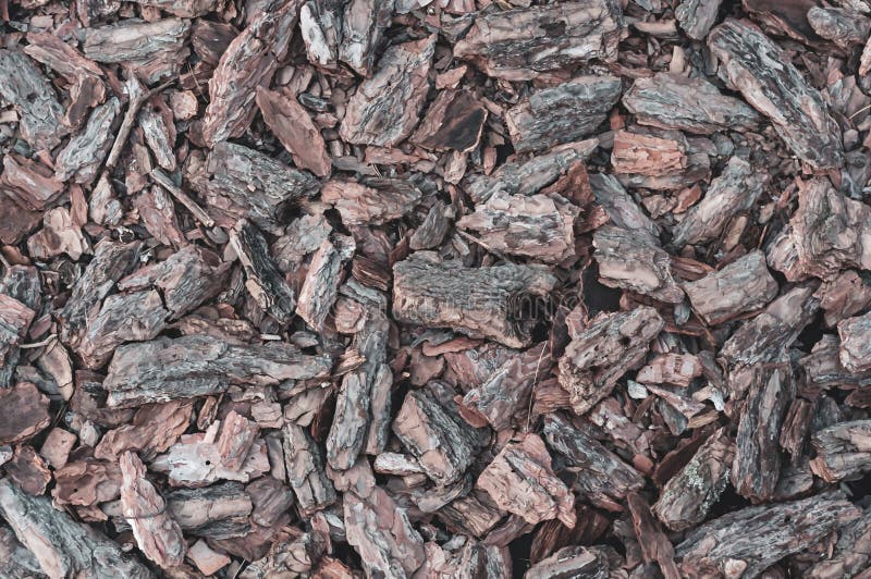 Old Bark Texture, Decorative Mulch from Small Pine Fragments for ...