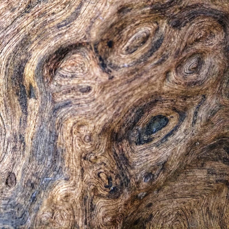 Old Bark and Wood Texture and Beautiful Natural Patterns Stock Image ...