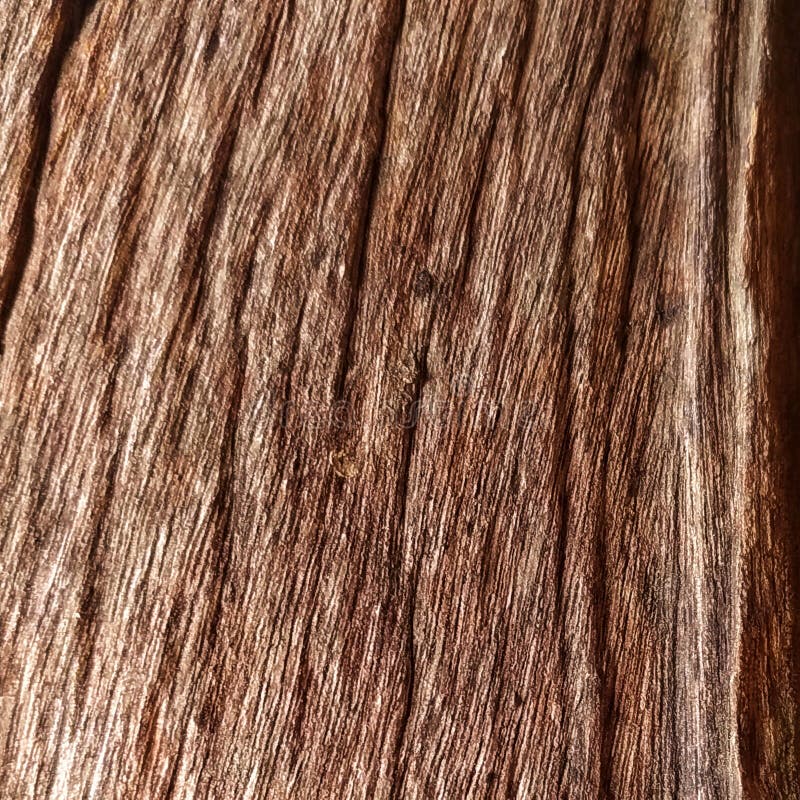 Old Bark and Wood Texture and Beautiful Natural Patterns Stock Photo ...