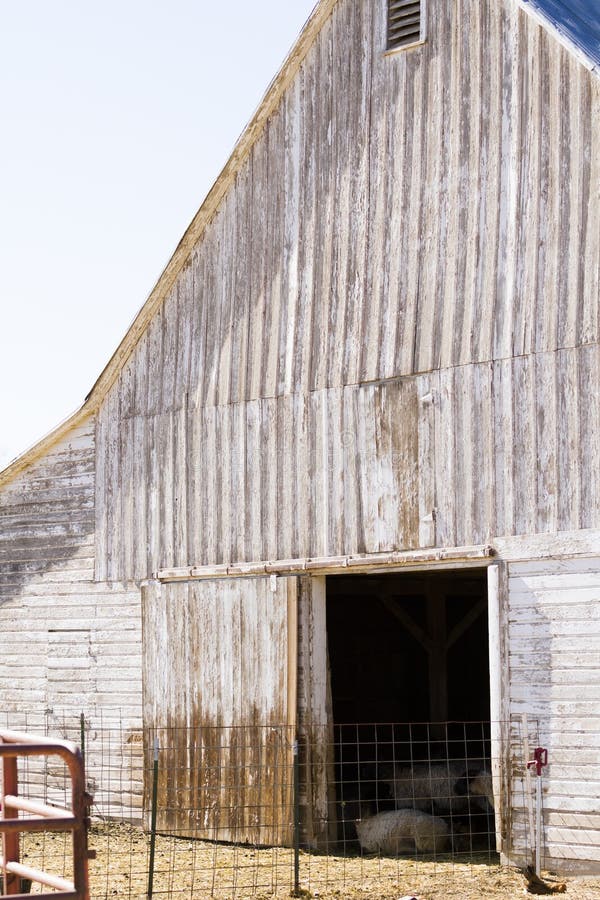 Old Sheep Barn Stock Photos - Download 770 Royalty Free Photos