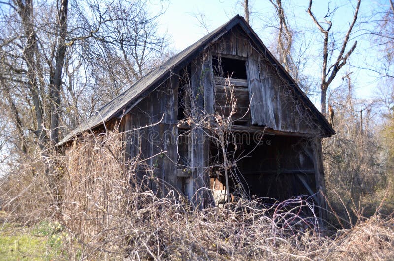 218 Briars Stock Photos - Free & Royalty-Free Stock Photos from Dreamstime