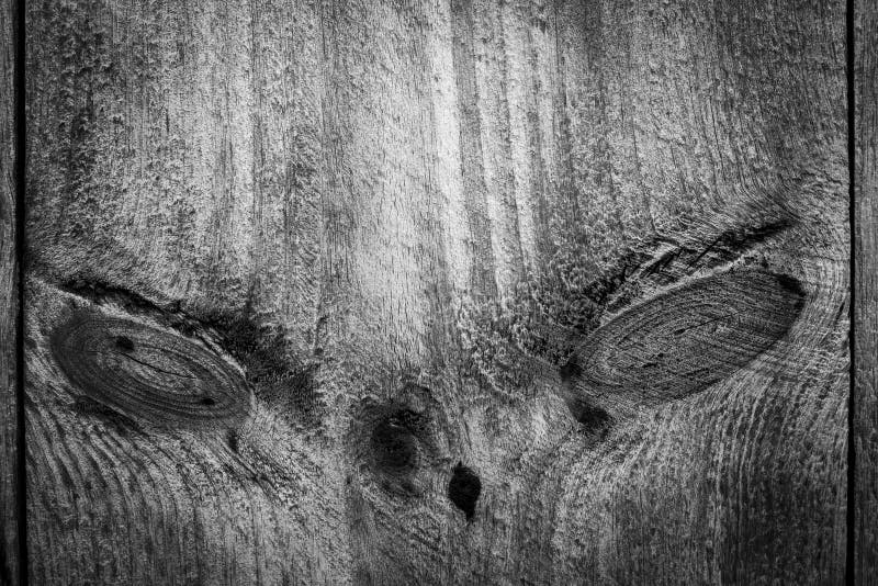 Old Barn Boards with Face stock photo. Image of knots - 192630338