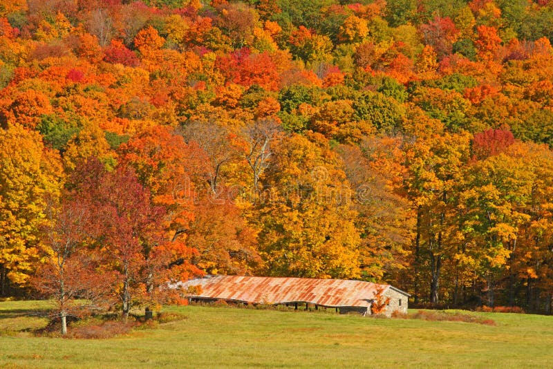 Old Barn and Fall Colors on Hillside Stock Photo - Image of green ...