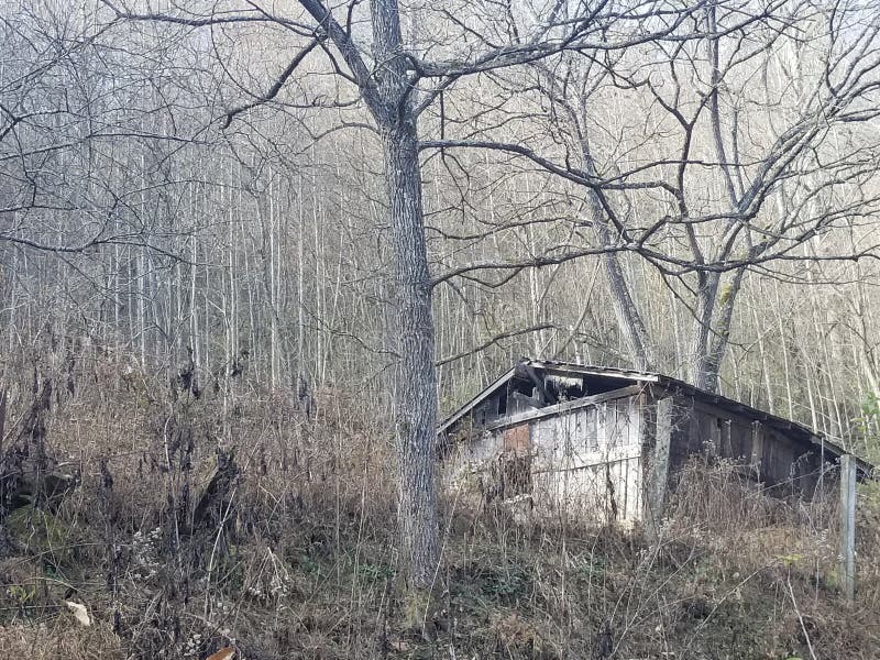 Old barn stock image. Image of fall, barn, trees - 105124027