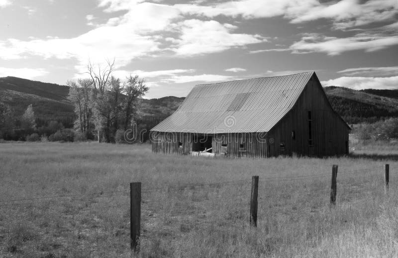 Old barn in a field. stock photo. Image of farm, agriculture - 11320488
