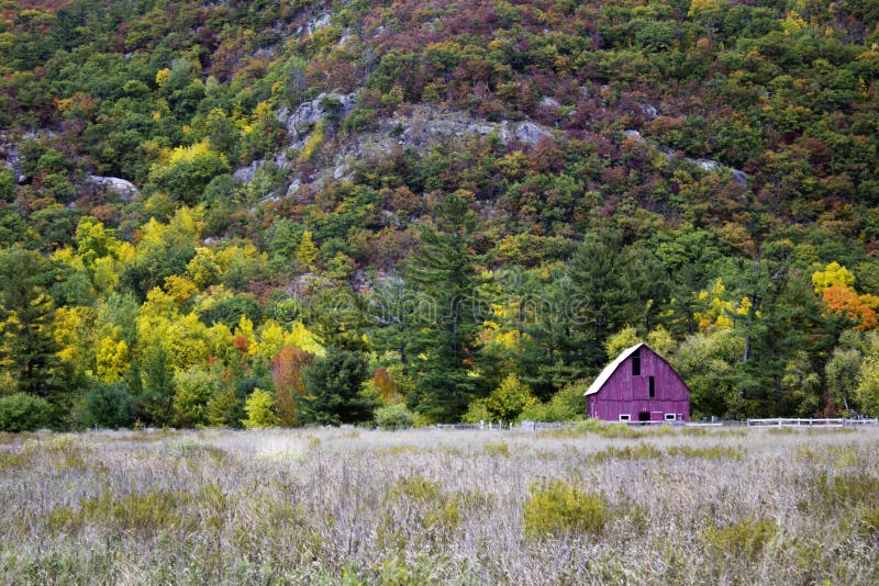 Old barn in the field stock image. Image of fall, forest - 29304031