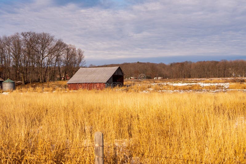 Old Barn in a Field with High Grass Stock Image - Image of field, grass ...