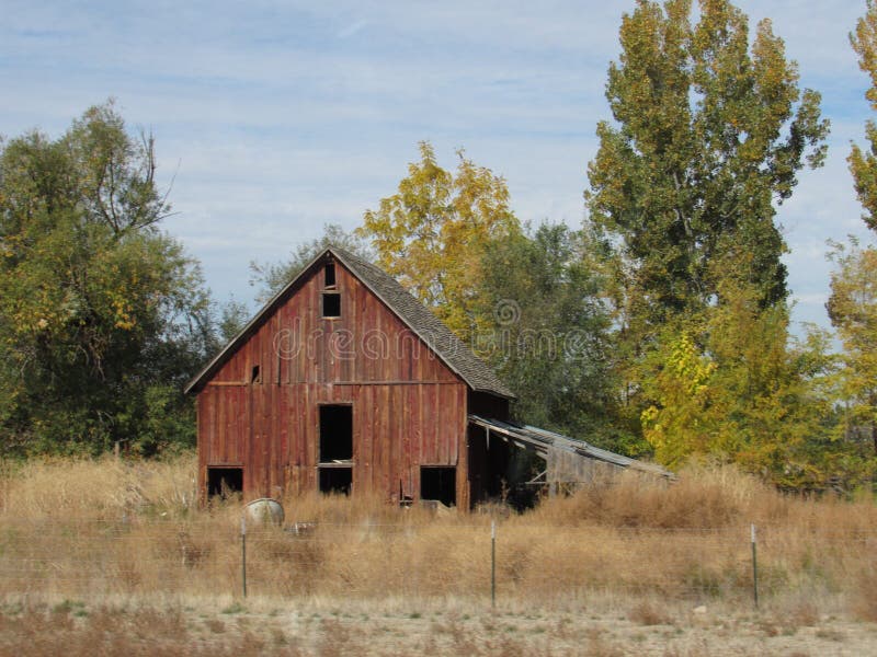Old Barn in field stock photo. Image of meadow, field - 79350772
