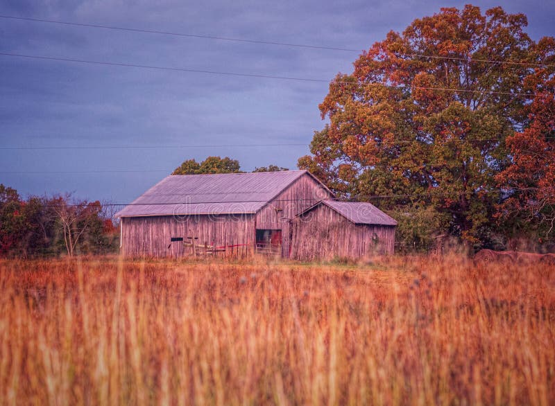 Old Barn in a Field in November Stock Image - Image of fall, seasons ...