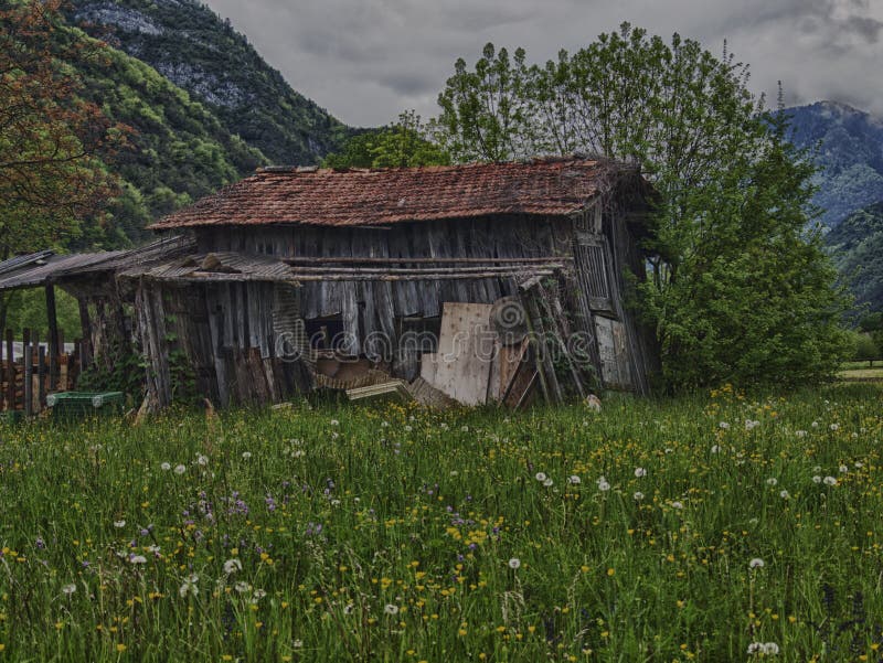 Old Barn in a Field in Springtime Stock Photo - Image of barn, nature ...