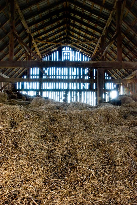 1,479 Messy Barn Stock Photos - Free & Royalty-Free Stock Photos from ...