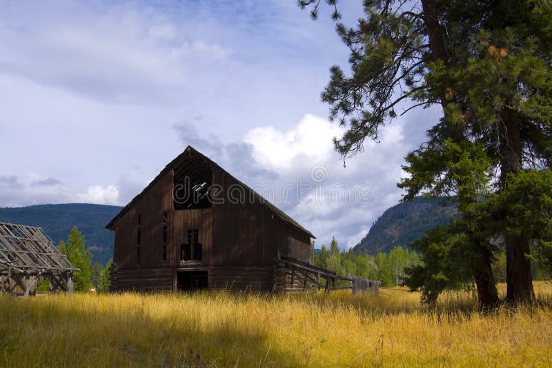 Old Barn in Golden field stock photo. Image of home, barn - 17131990