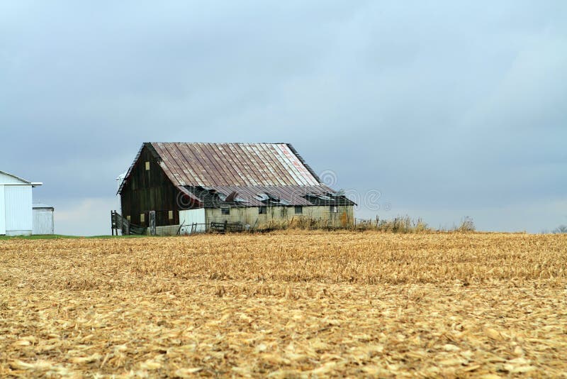 Old Barn By Harvested Corn Field Stock Image - Image of house, corn ...