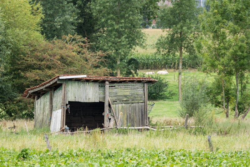 Old barn in the meadow stock photo. Image of natural - 196172680
