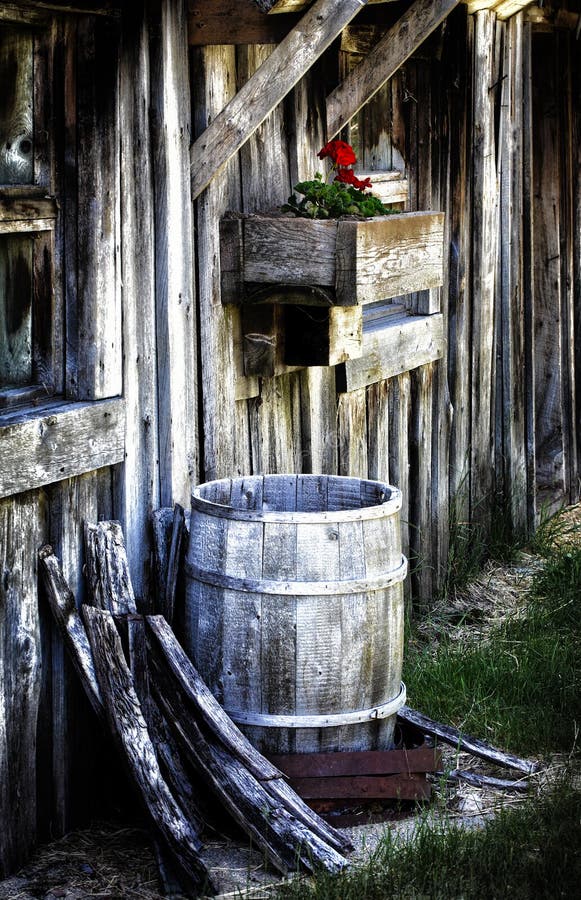 Old Barn with Rain Barrel and Geranium Stock Photo - Image of barn ...