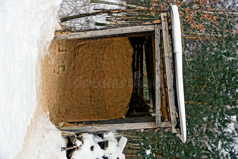 Old Barn with Sawdust in the Winter Yard Stock Image - Image of farm ...