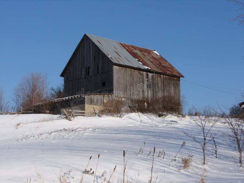 Old barn in snow stock image. Image of trees, barn, weeds - 12154839