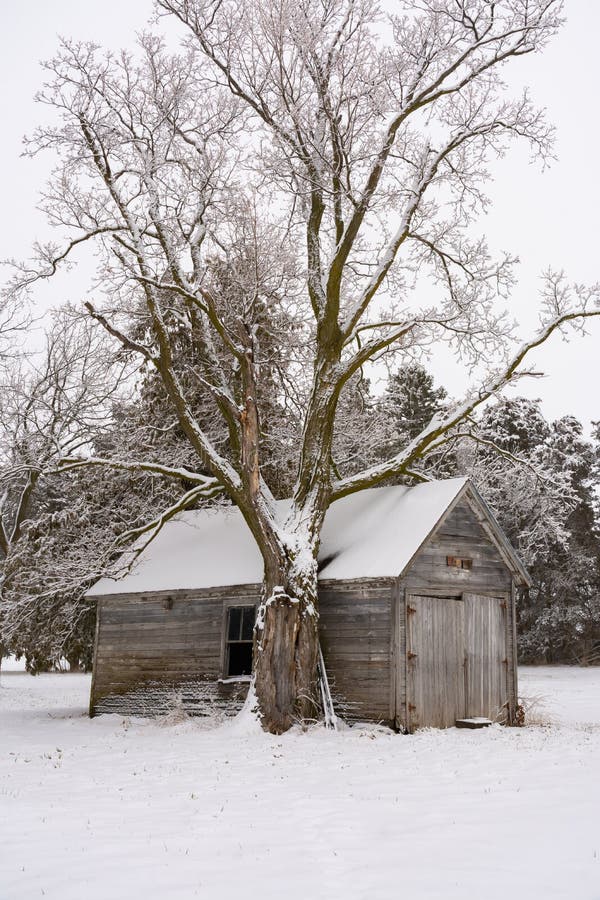 Old barn in the snow stock photo. Image of cloudy, covered - 208290764