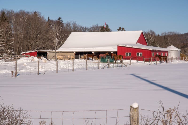 Old Barn Surrounded with Snow Stock Image - Image of roof, blizzard ...