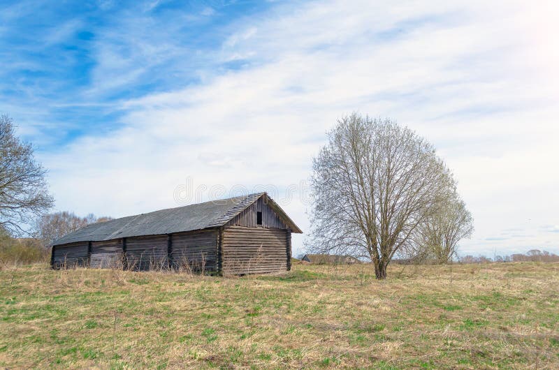 Old Barn and Tree in Field of Grass. Stock Image - Image of country ...