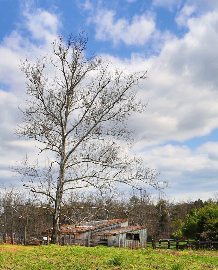 Old barn and tree stock image. Image of green, travel - 40054161