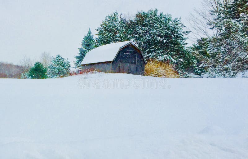 Old Barn with Trees and Bushes in Snow Stock Image - Image of trees ...