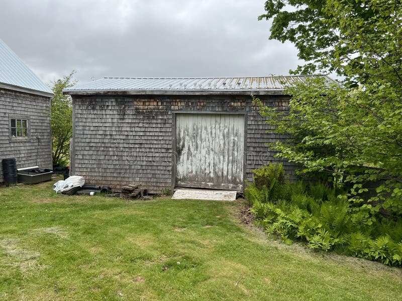 Old Barn in the trees stock photo. Image of clapboard - 273056718