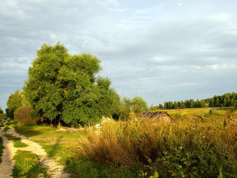 Old Barn among the Trees in the Village Stock Photo - Image of rustic ...