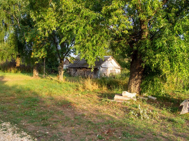 Old Barn among the Trees in the Village Stock Photo - Image of building ...