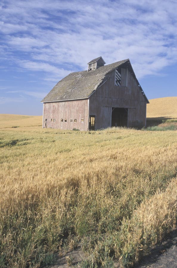 Old abandoned rusted barn stock photo. Image of grass - 19068238