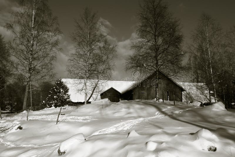 Old barn in winter snow stock image. Image of forest - 19282305