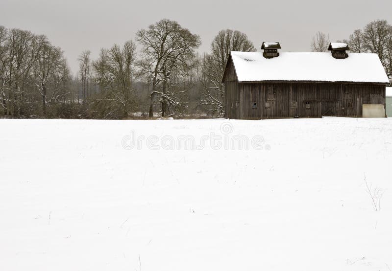 Old Barn in Winter stock photo. Image of winter, leafless - 37721882