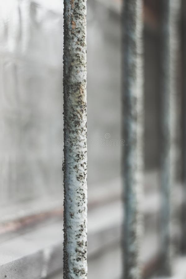 Old bars in close-up stock image. Image of protection - 216515443