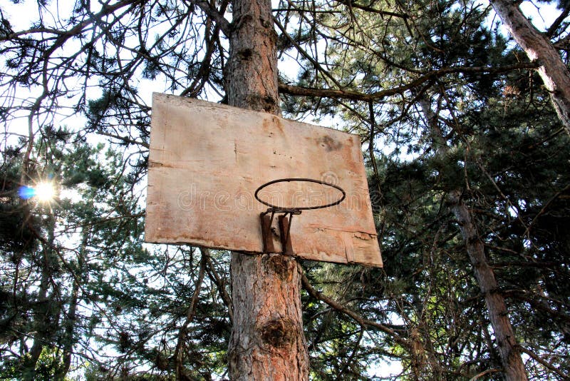 Old basketball hoop stock image. Image of shot, pine - 74223843