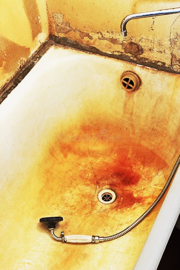 Old destroyed bathroom stock photo. Image of herne, flower - 131797812