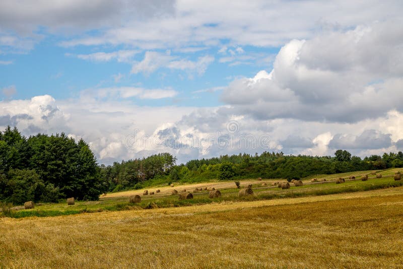 Old Beautiful Country Cottage in the Countryside Stock Image - Image of ...