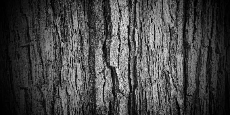 Old Beautiful Tree Texture Pattern Stock Photo - Image of brown, wooden ...