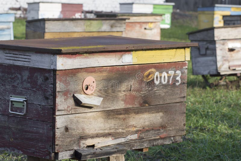 Old Bee Hives in the Apiary in the Spring Stock Image - Image of grass ...