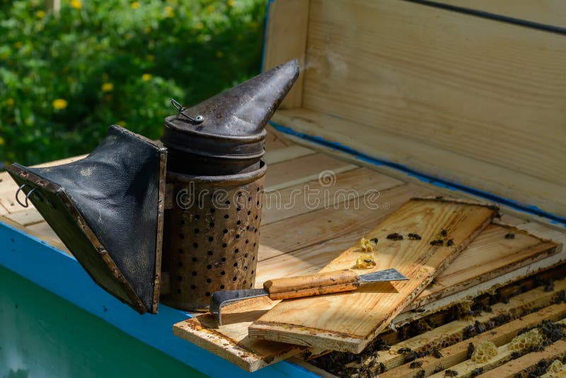 Old Bee Smoker. Beekeeping Tool. Apiary. Beekeeping. Stock Image ...