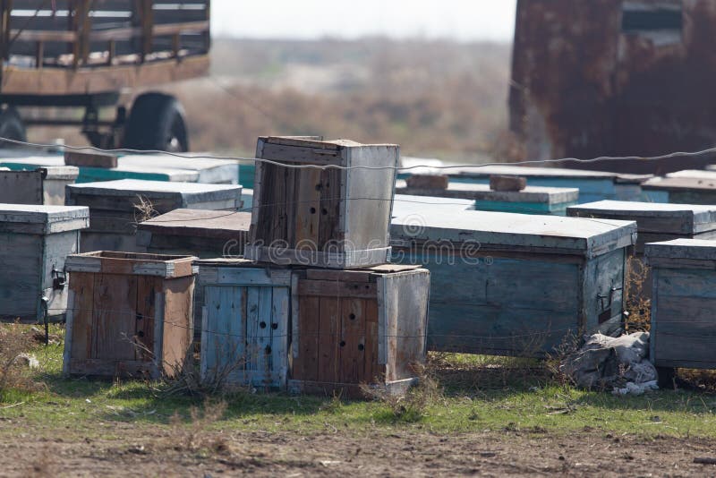 The old beehive bees stock image. Image of insect, natural - 106069557