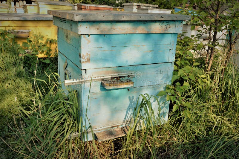 Old beehive stock photo. Image of colony, apis, elder - 89943074
