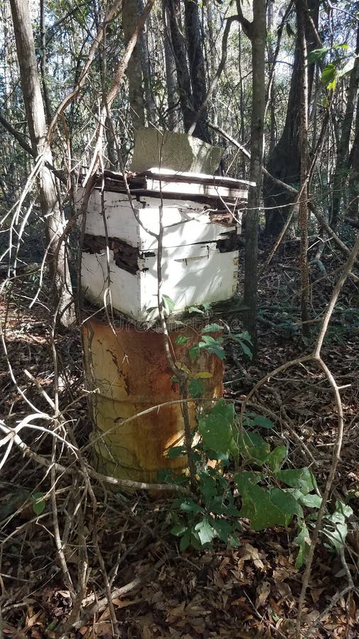 Old Beehive in the Woods stock image. Image of beehive - 202759527