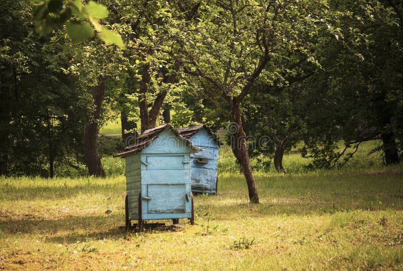 Old beehives stock photo. Image of apiculture, grass - 73734066