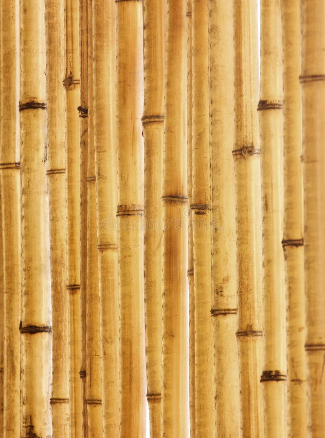 Beige bamboo mat texture stock image. Image of nature - 288888521