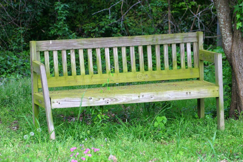 Old bench stock image. Image of wood, weathered, algae - 1070945