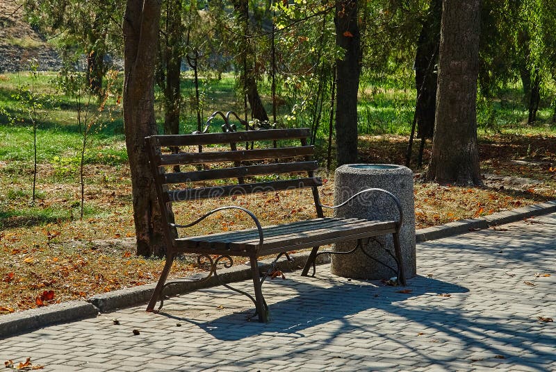 Old bench in a park stock image. Image of nature, plant - 60208311