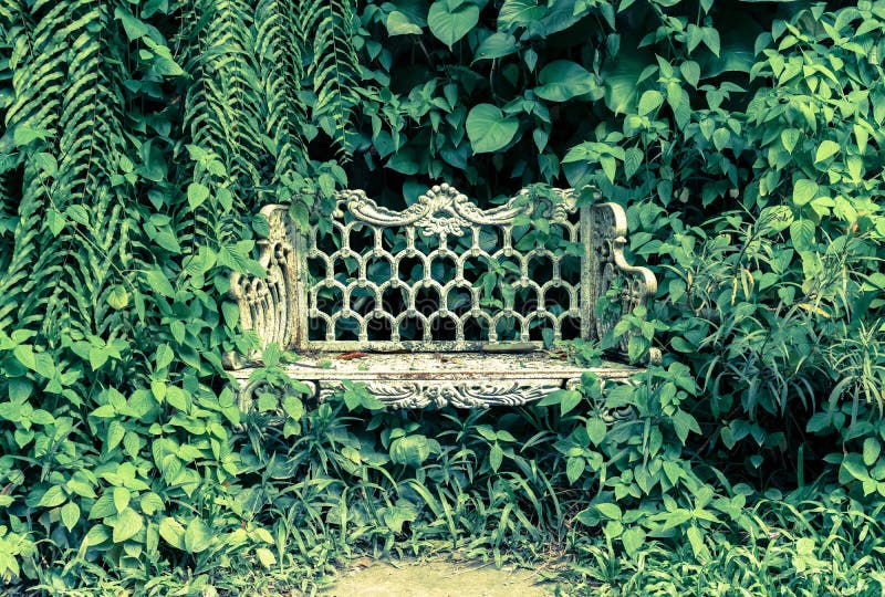 Old bench in park stock photo. Image of scene, vintage - 93787820