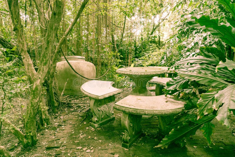 Old bench in park stock photo. Image of grass, autumn - 94430580