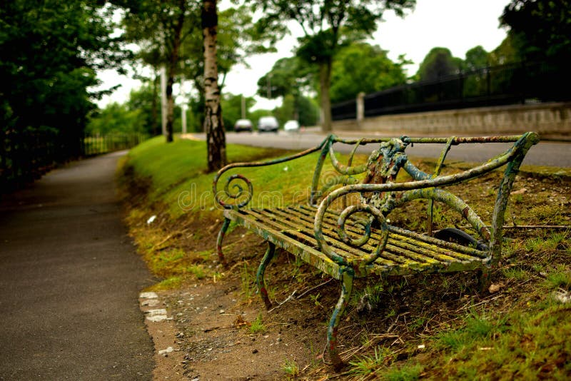Old bench stock photo. Image of demetal, trees, birch - 77238346